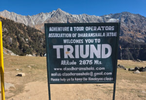 Triund Trek Beginners Guide: Route, Distance and Best Time